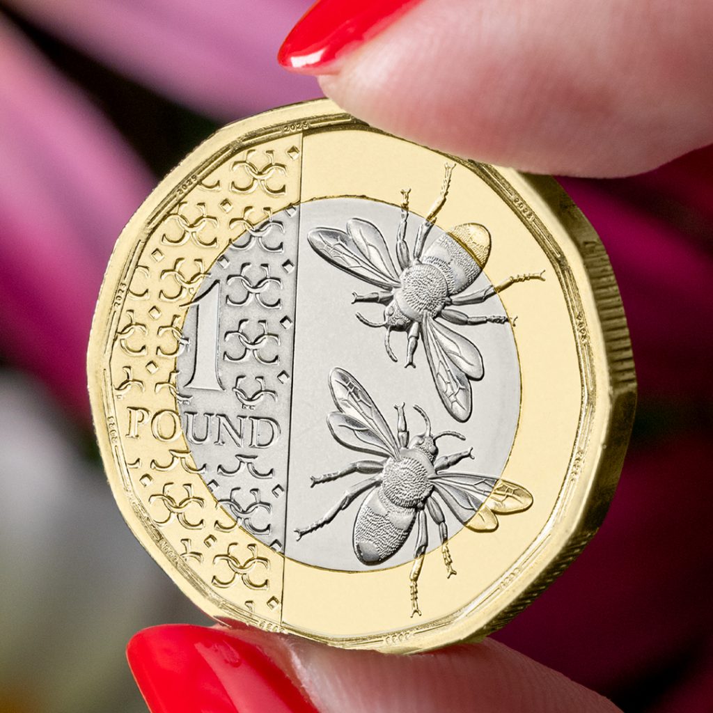 New Royal Mint £1 to become Britain's rarest circulating coin? - Change ...