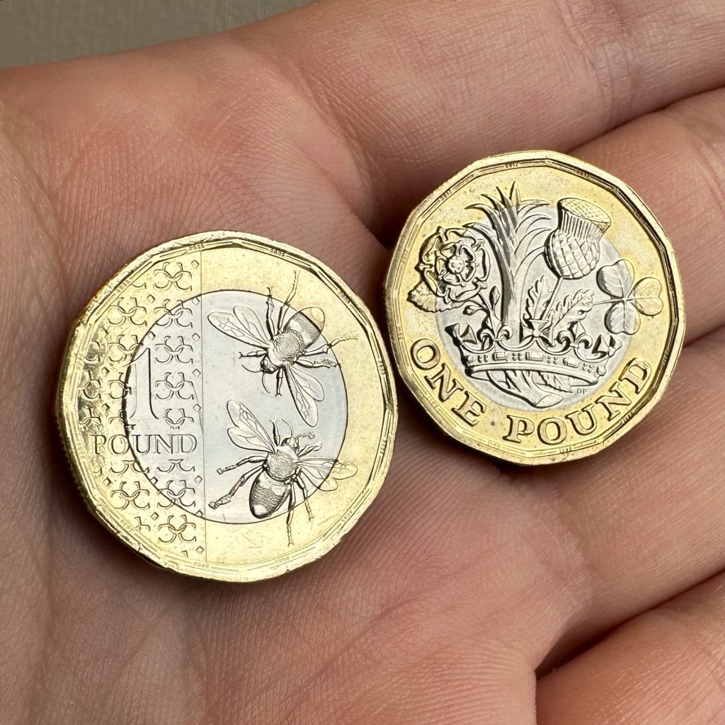 New Royal Mint £1 to become Britain’s rarest circulating coin? – Change ...